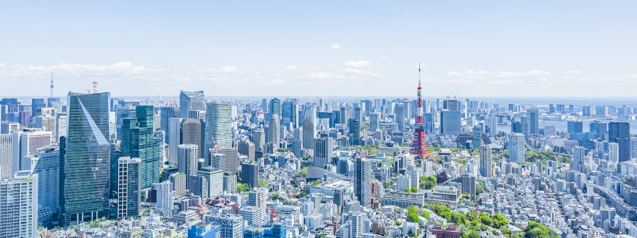 キャリーECO5-Z | エナジーシステムサービス ジャパン株式会社